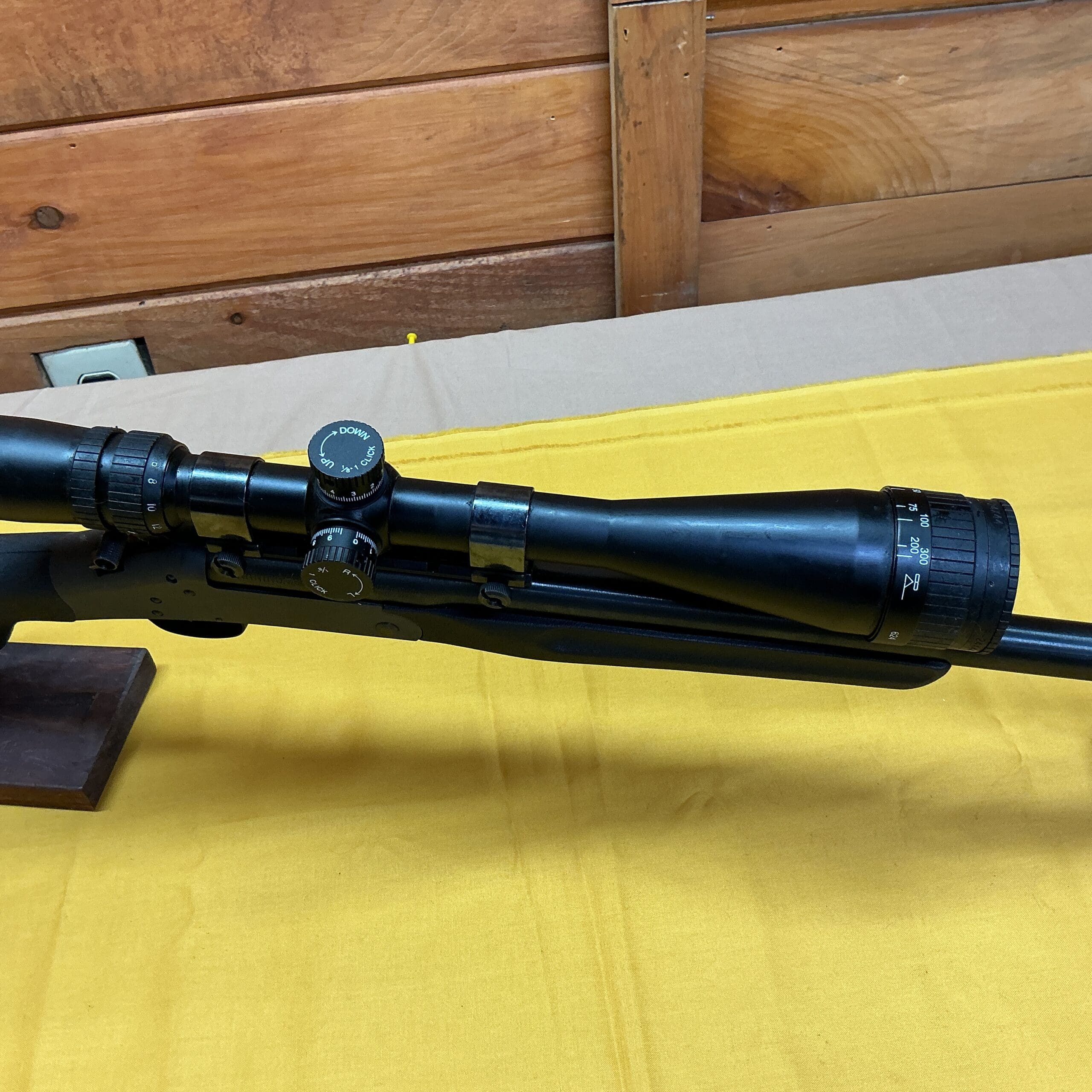 N.E.F. SPORTSTER BOSS ACTION. 17 HMR W 6x24 | Curt's Gun Shop